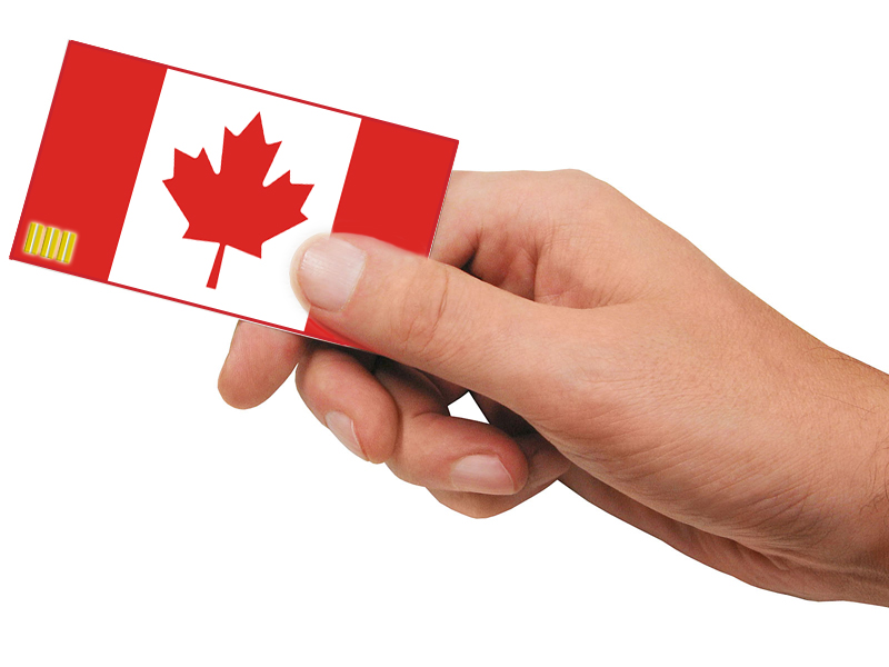 The Electronic Voting System – Democracy! Better Future Forward